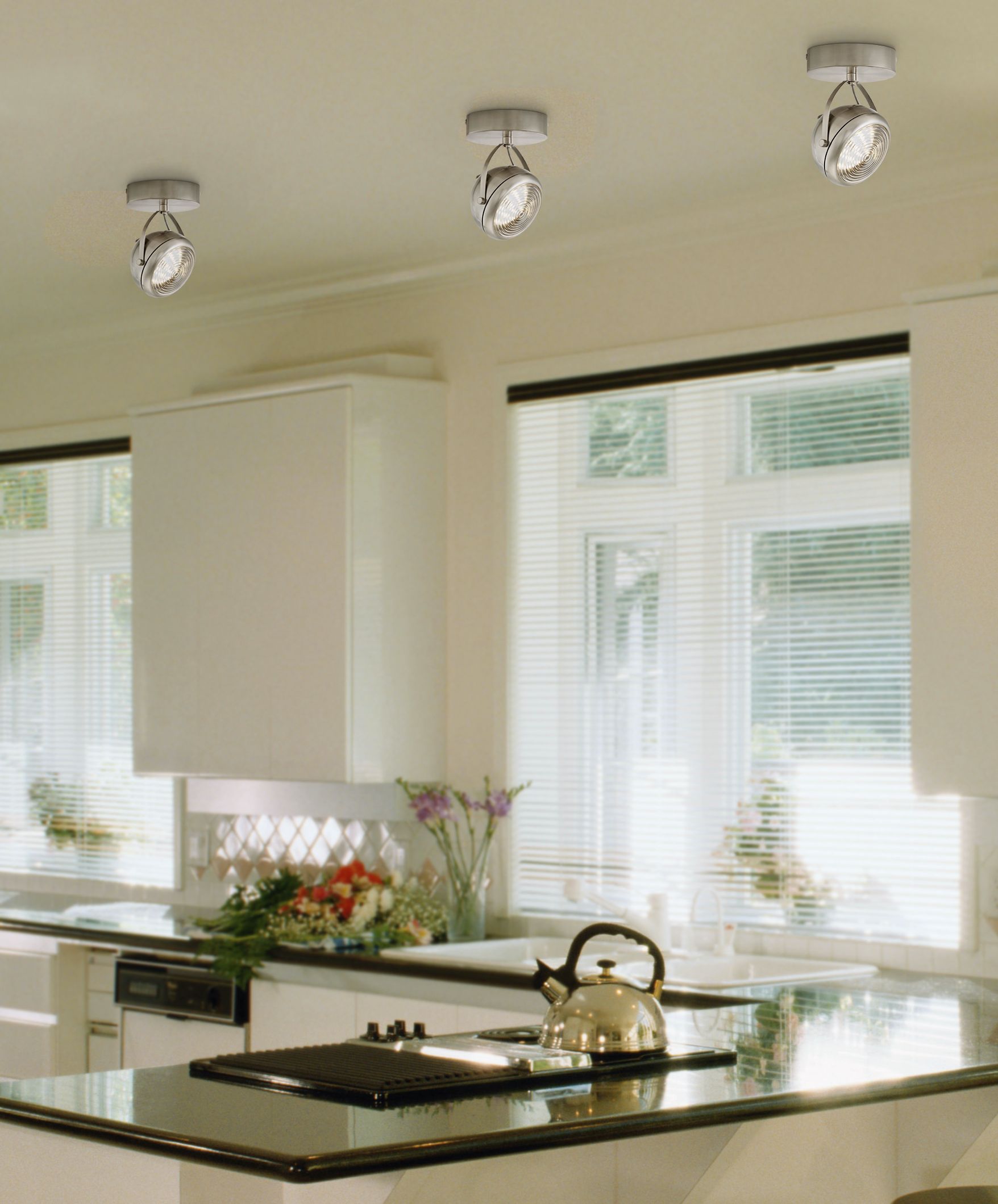 Round Back Satin Nickel LED Adjustable Ceiling Fixture - #2P027 | Lamps ...