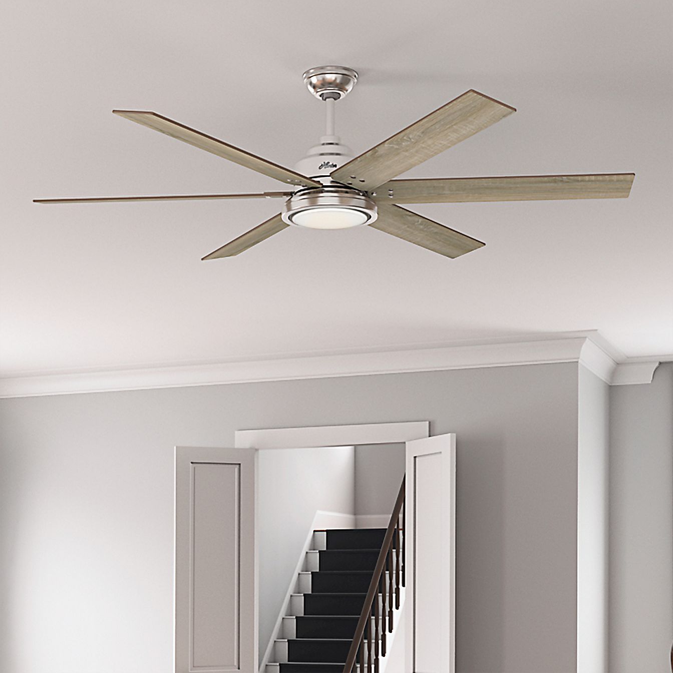 Hunter 70 Inch Ceiling Fans | Shelly Lighting