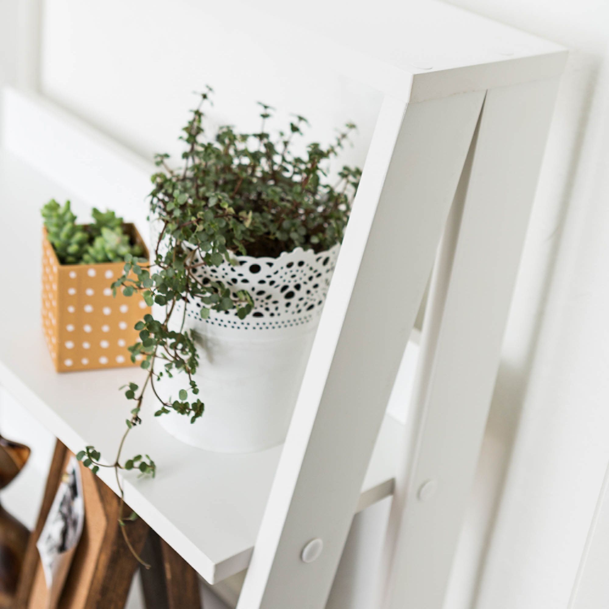 Short Ladder Bookshelf
