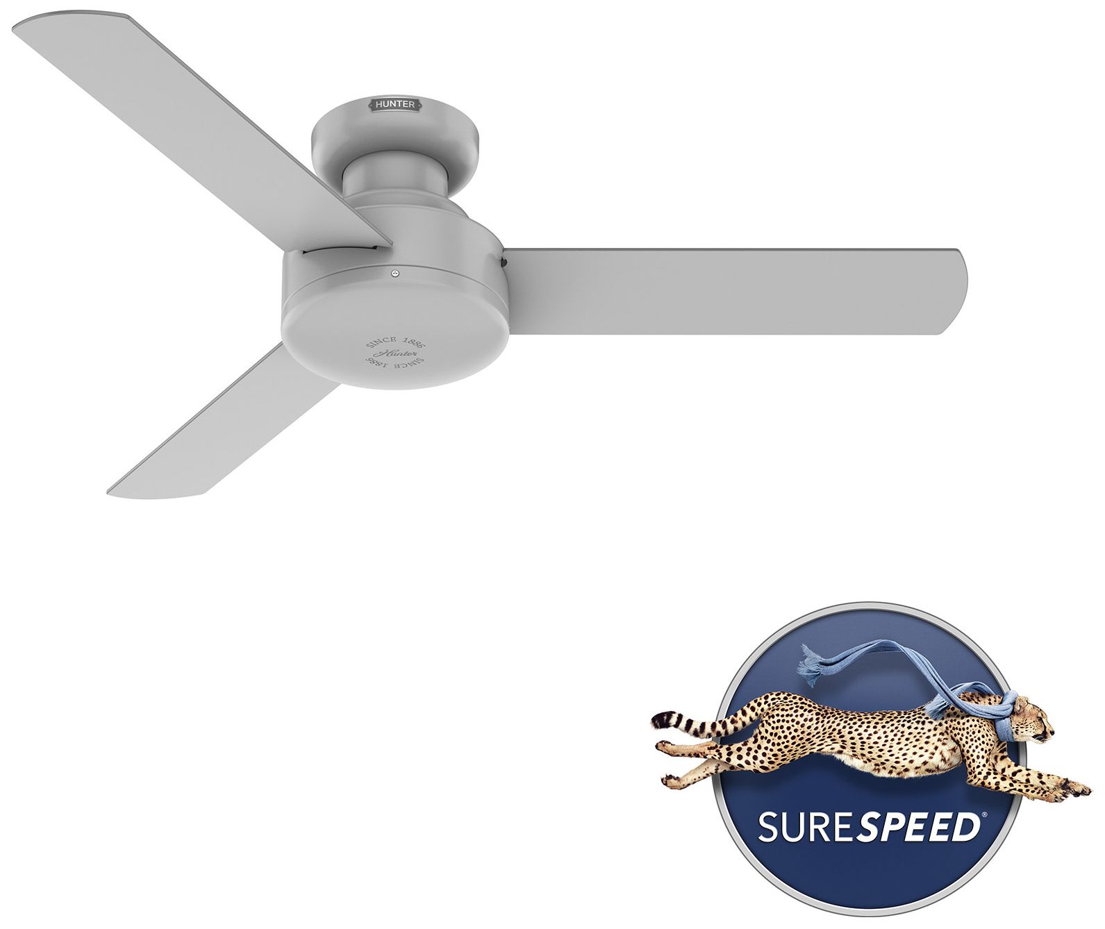 Hunter 44 inch Presto Dove Grey Low Profile Ceiling Fan and Wall ...