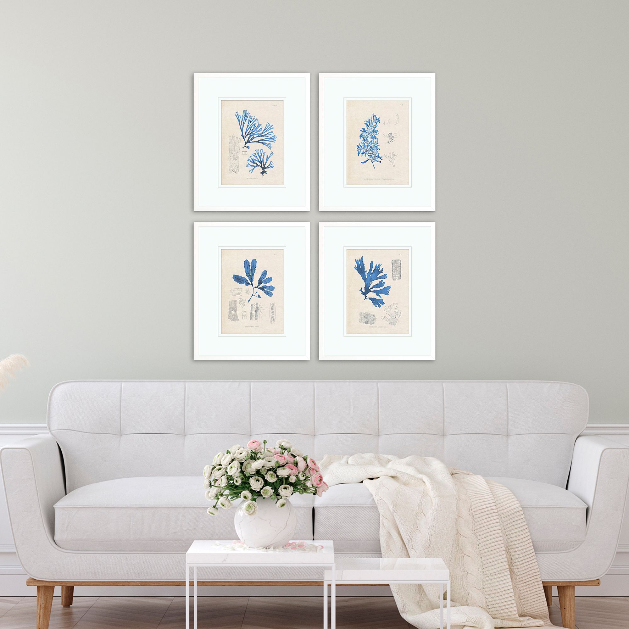 Marine Algae II 26" High 4-Piece Framed Giclee Wall Art Set - #266Y4 | Lamps Plus