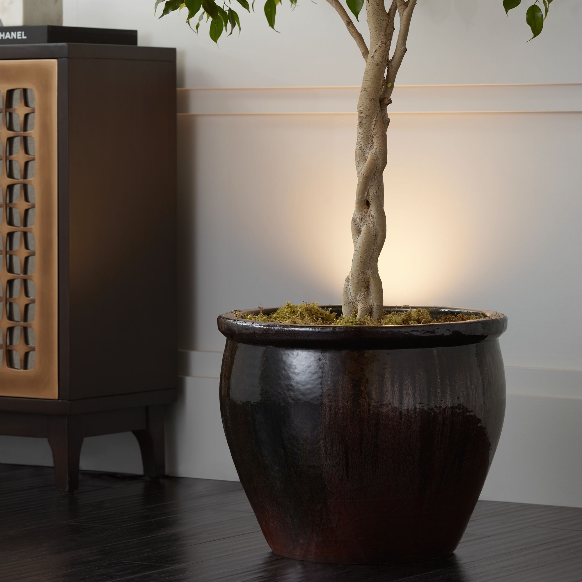 Steel 6 1/2" High LED Mini Can Accent Spot Light Set of 2 - #43W24 ...