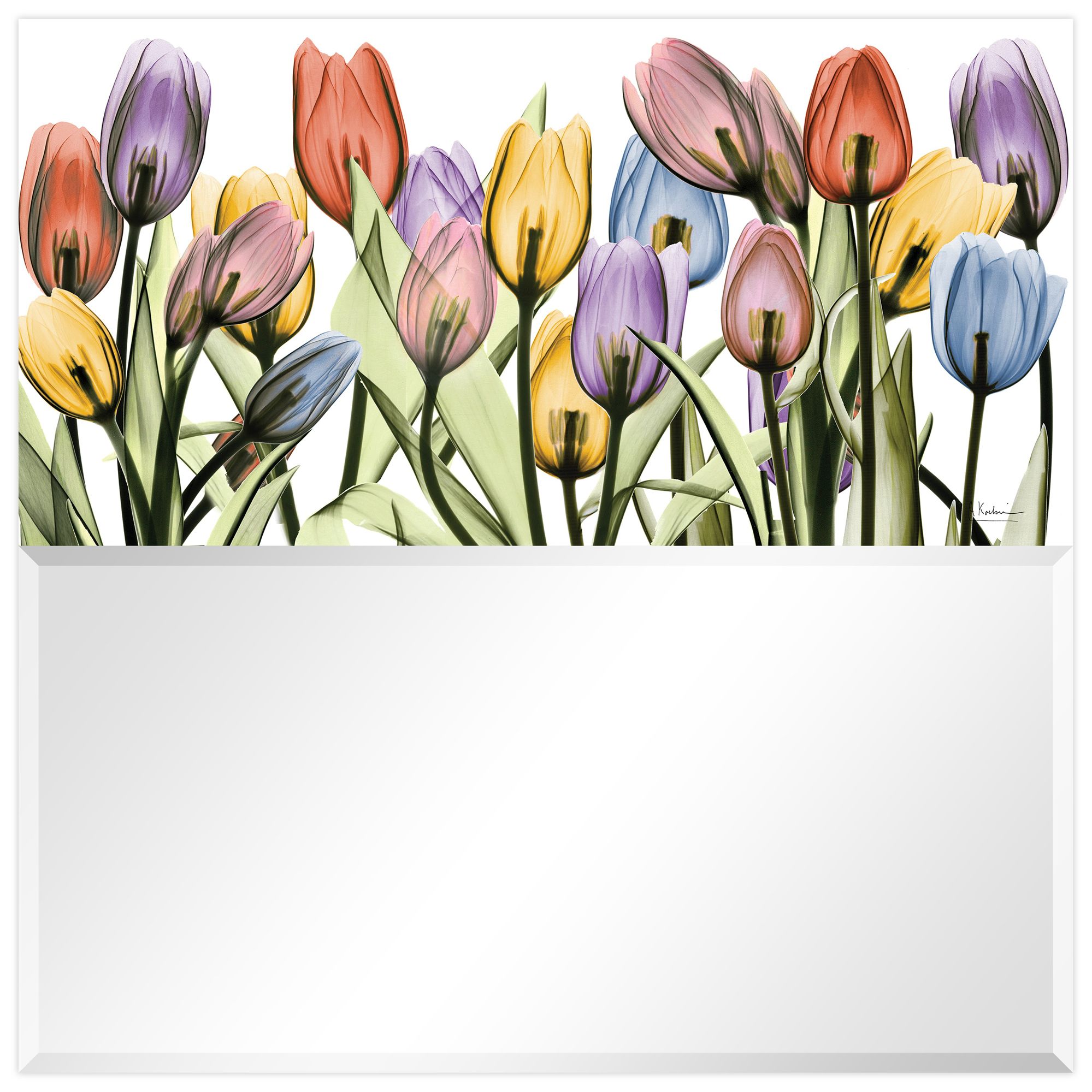 Tulip Scape Square Beveled Mirror on Printed Tempered Art Glass ...