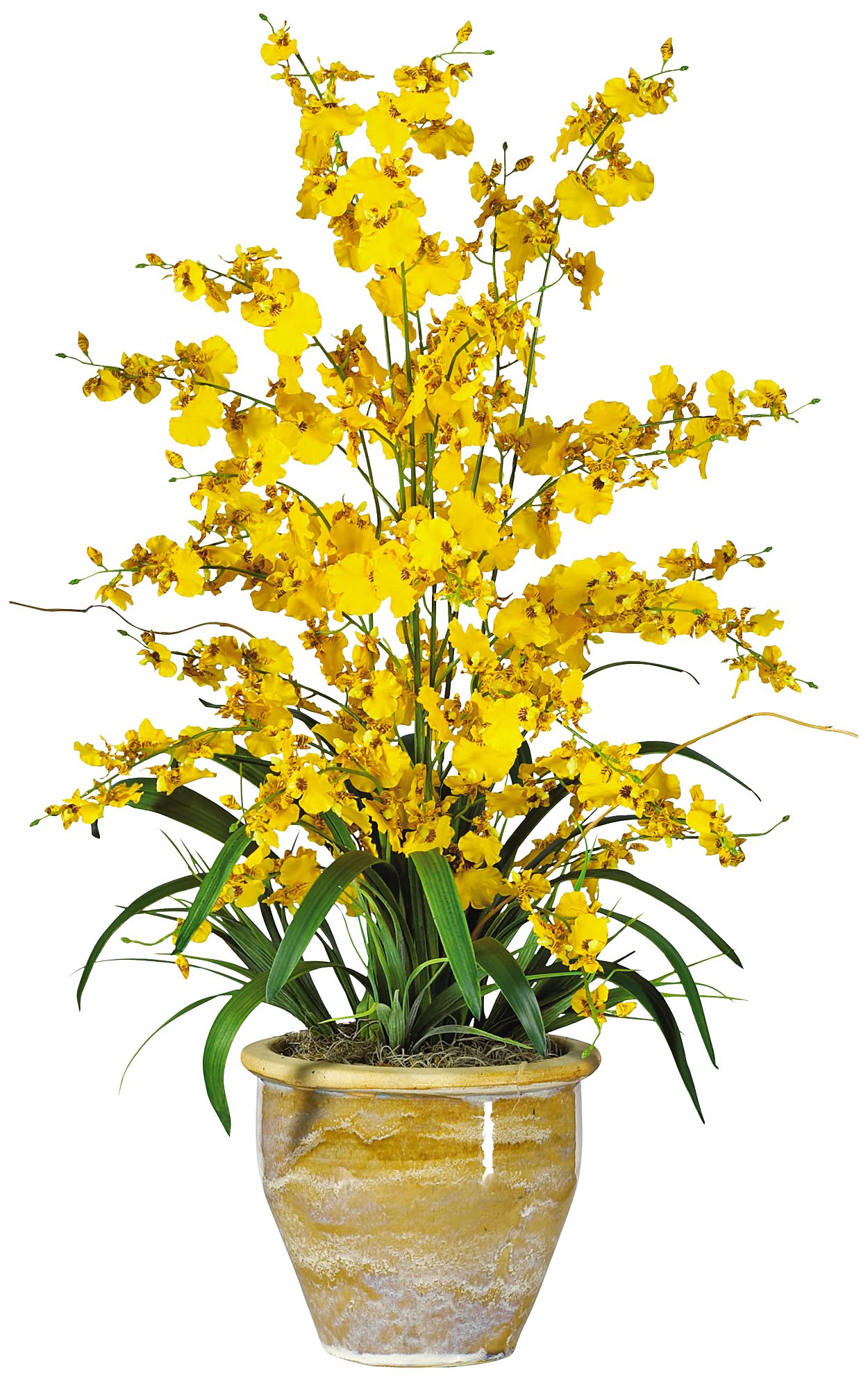 Yellow Triple Dancing Lady 32" High Potted Faux Flowers - #16J36 ...