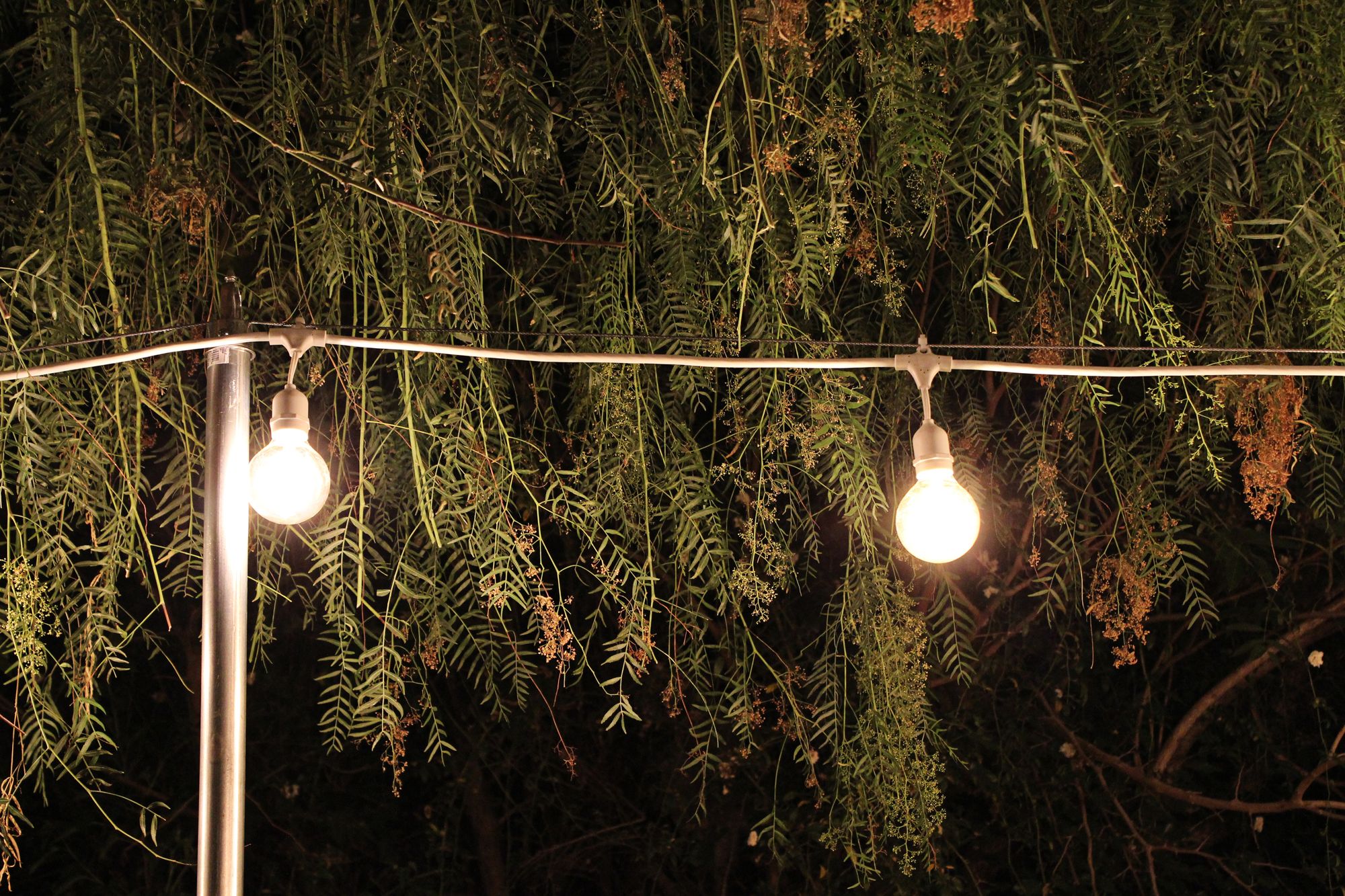 Tivoli Commercial 24-Light White LED String Light Set - #46C97 | Lamps Plus