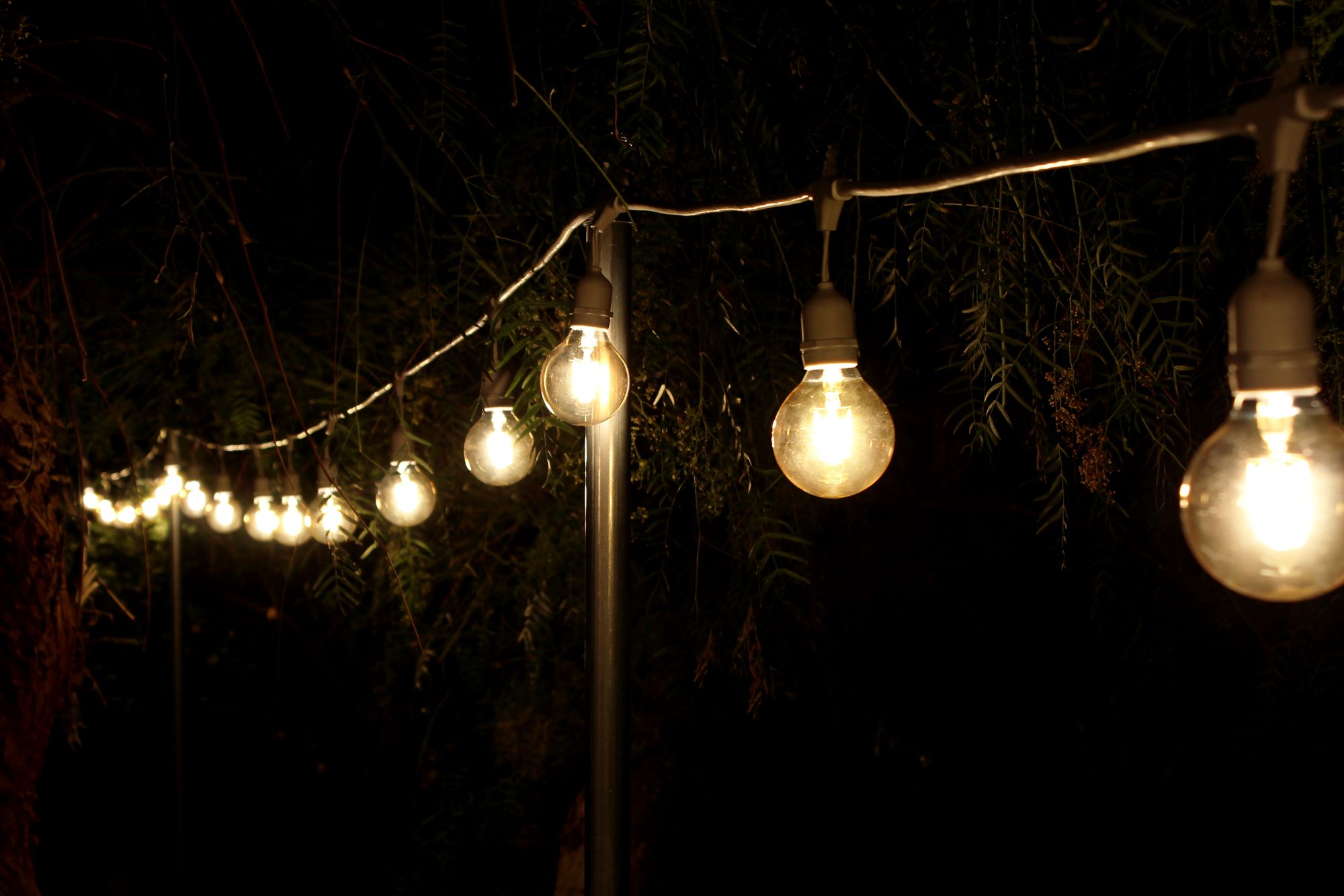 Tivoli Commercial 24-Light White LED String Light Set - #46C97 | Lamps Plus